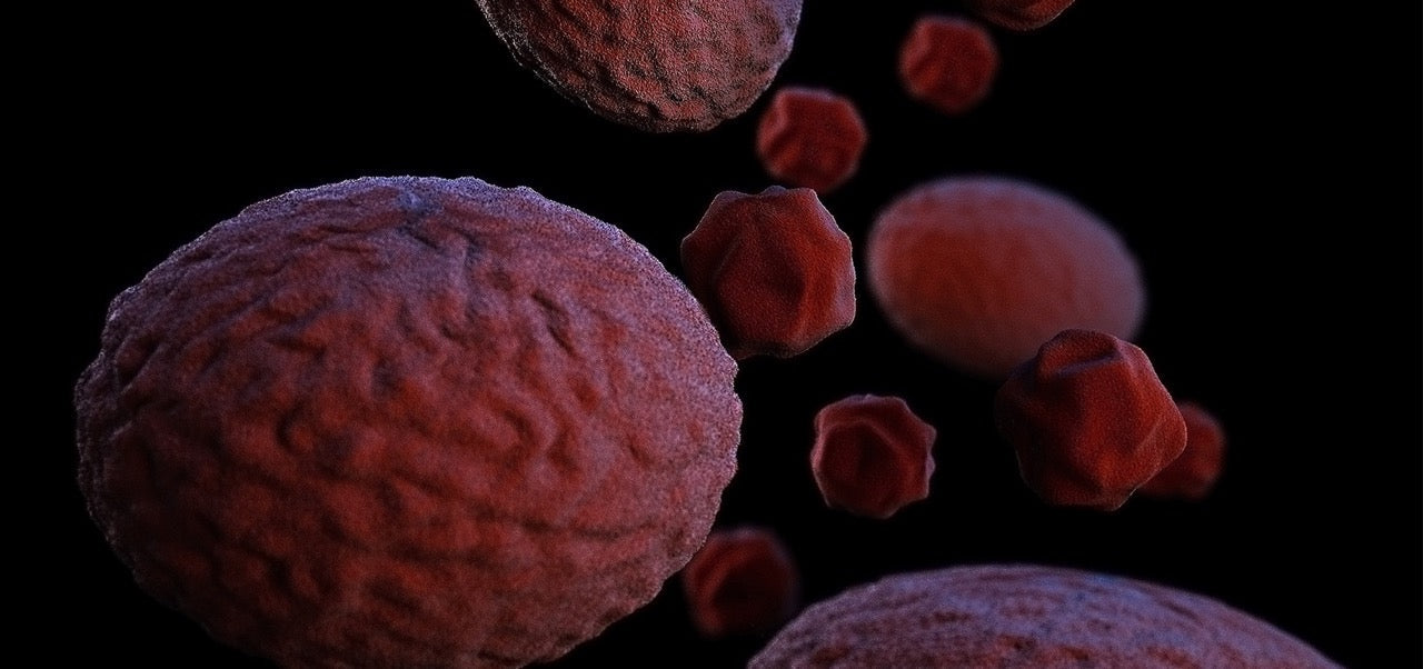 Chlamydien: Ursachen, Anzeichen & Therapie – FERTILA