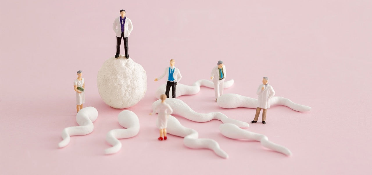 Intrauterine Insemination (IUI): Behandlung & Erfolgschancen – FERTILA